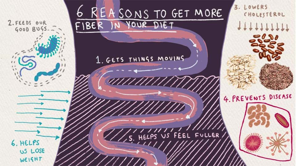 Six reasons to get more fiber in your diet – Fit Planet